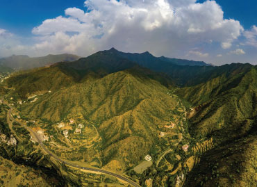 Color Your Summer - Al Rais Holidays