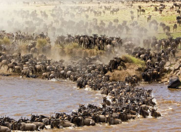 Tanzania Packages - Al Rais Holidays