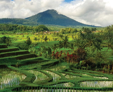Bali Combination Packages - Al Rais Holidays